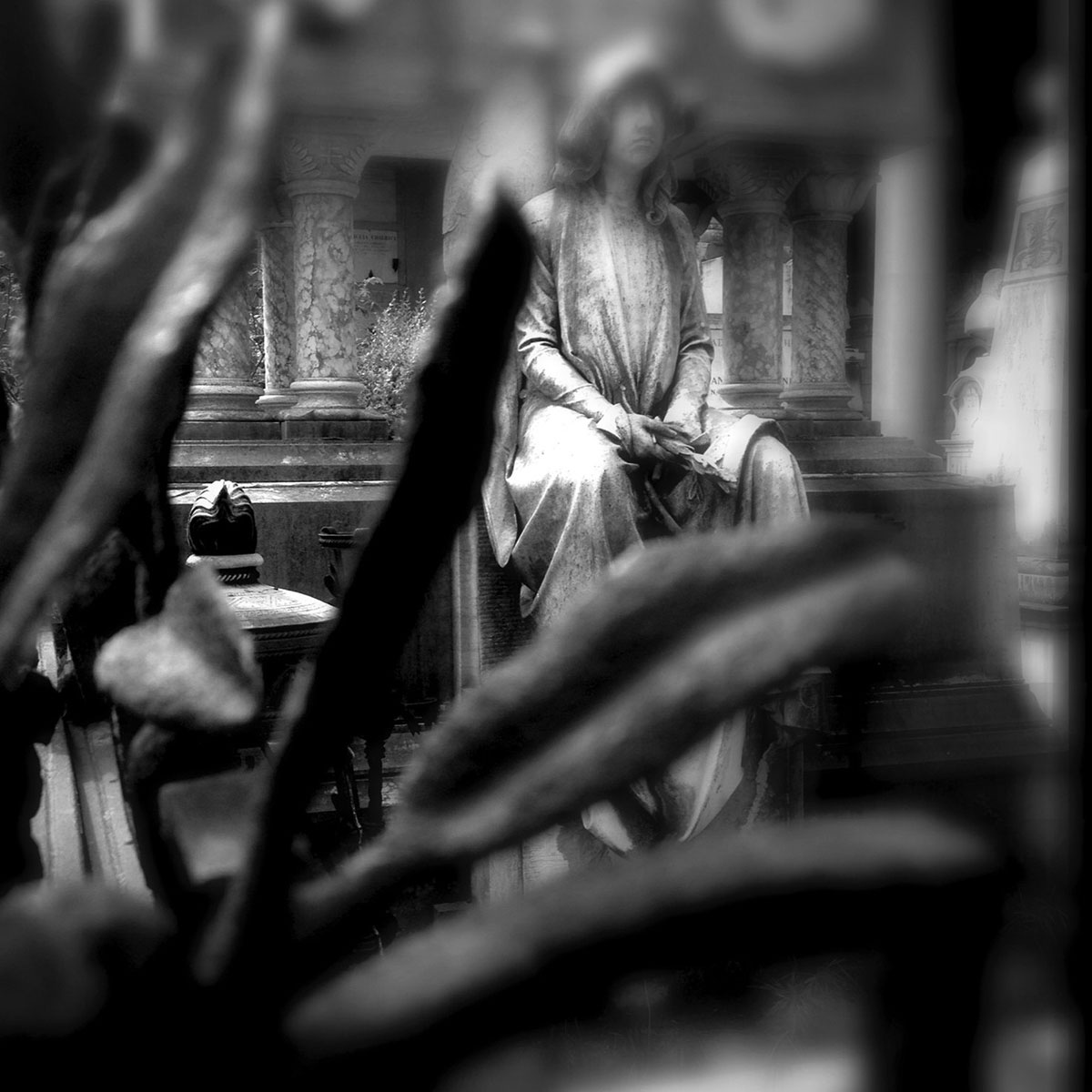 Anna Rosati - Costruire Memorie Visive - Fellini Magazine