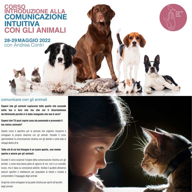 Andrea Contri - Animal Whistler - Fellini Magazine