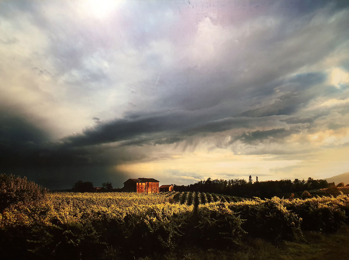 Le Colline Venete a Colori - Patrimonio dell'Unesco - Fellini Magazine