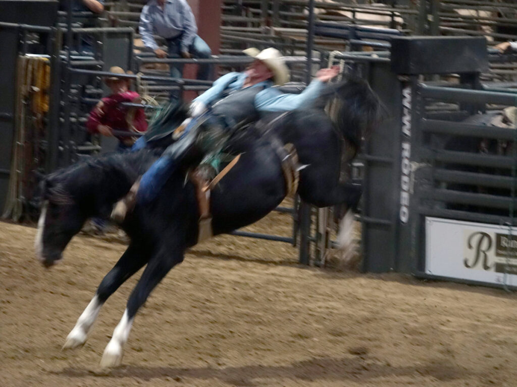 La Storia del Rodeo: dalle origini ai giorni nostri - Fellini Magazine